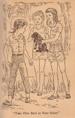 Bud | Trixie Belden Wiki | Fandom