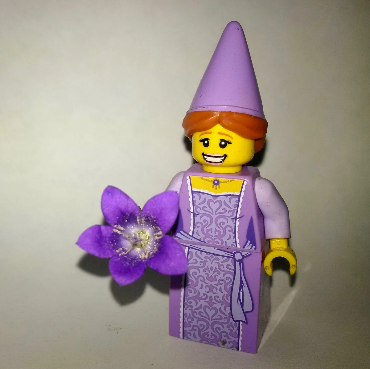 Her Royal Highness The Princess Berenice | Trixipedia Wiki | Fandom