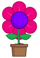 Assets | TROC Players Wiki | Fandom