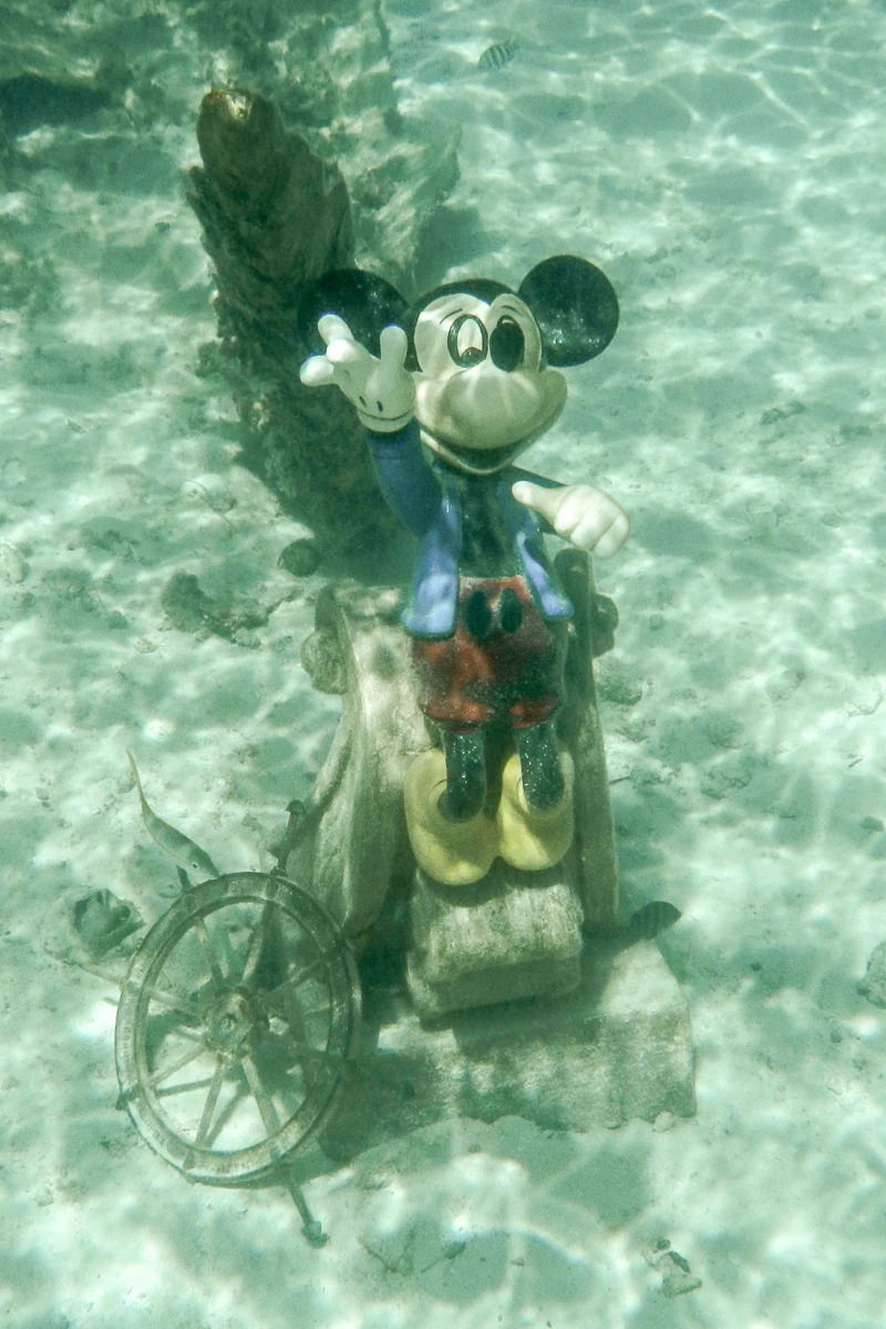 DisneyLand Atlantis | Troll of The Green Wiki | Fandom