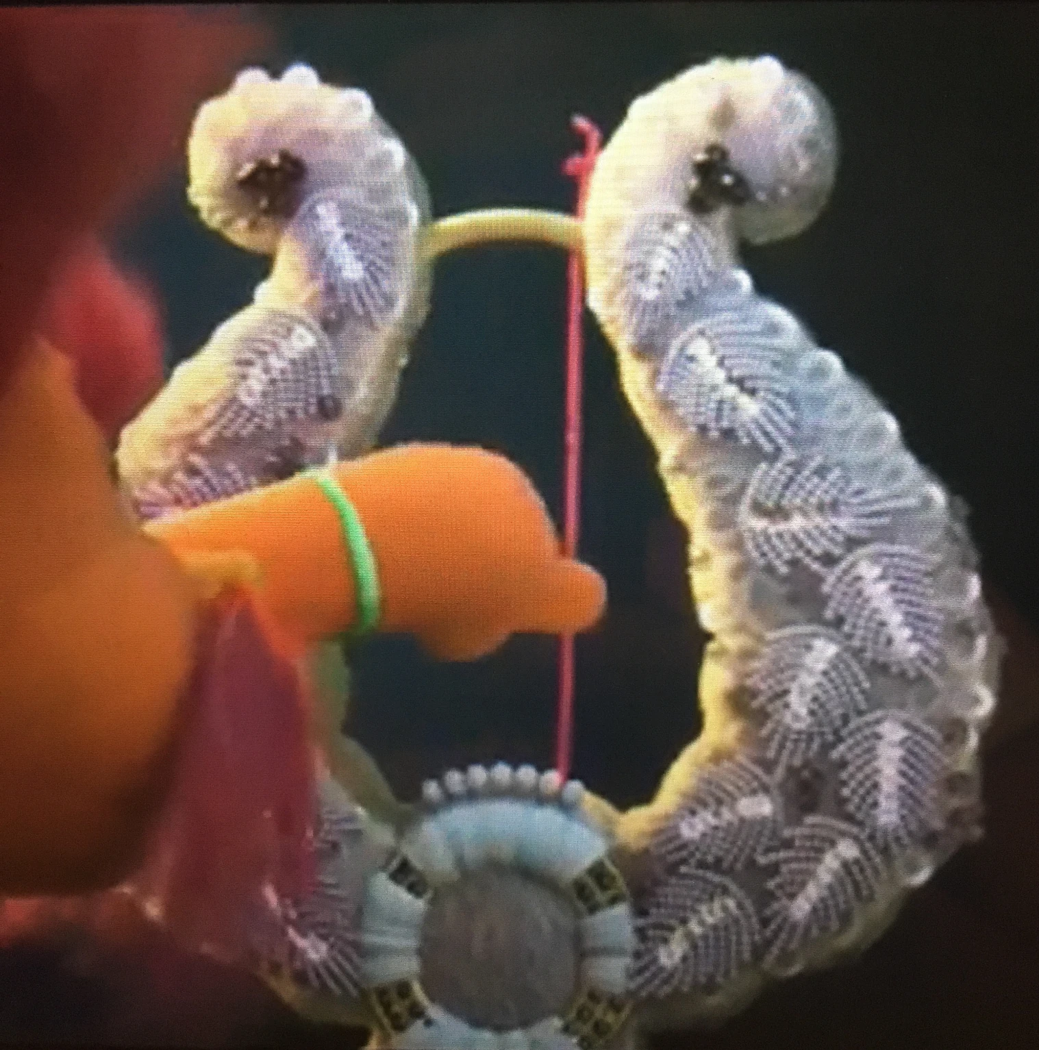 Discuss Everything About Trolls Trollpedia | Fandom