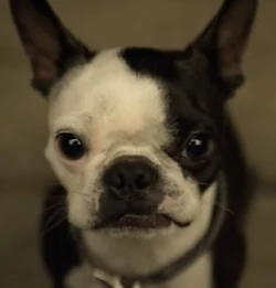 Marv | Tron Wiki | Fandom