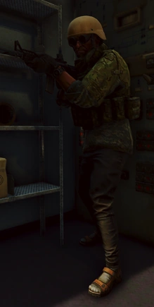 Rogue Soldier | TrongsUniverse Wiki | Fandom