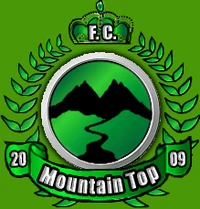 Mountain Top F.C. | Trophy Manager Wiki | Fandom