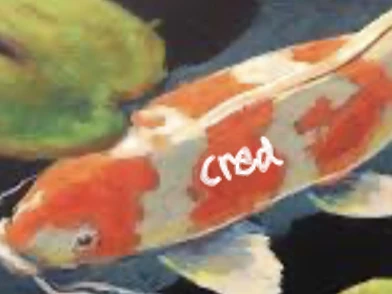 Cred The Coi Fish | The Random Of The Random Memes Wiki | Fandom