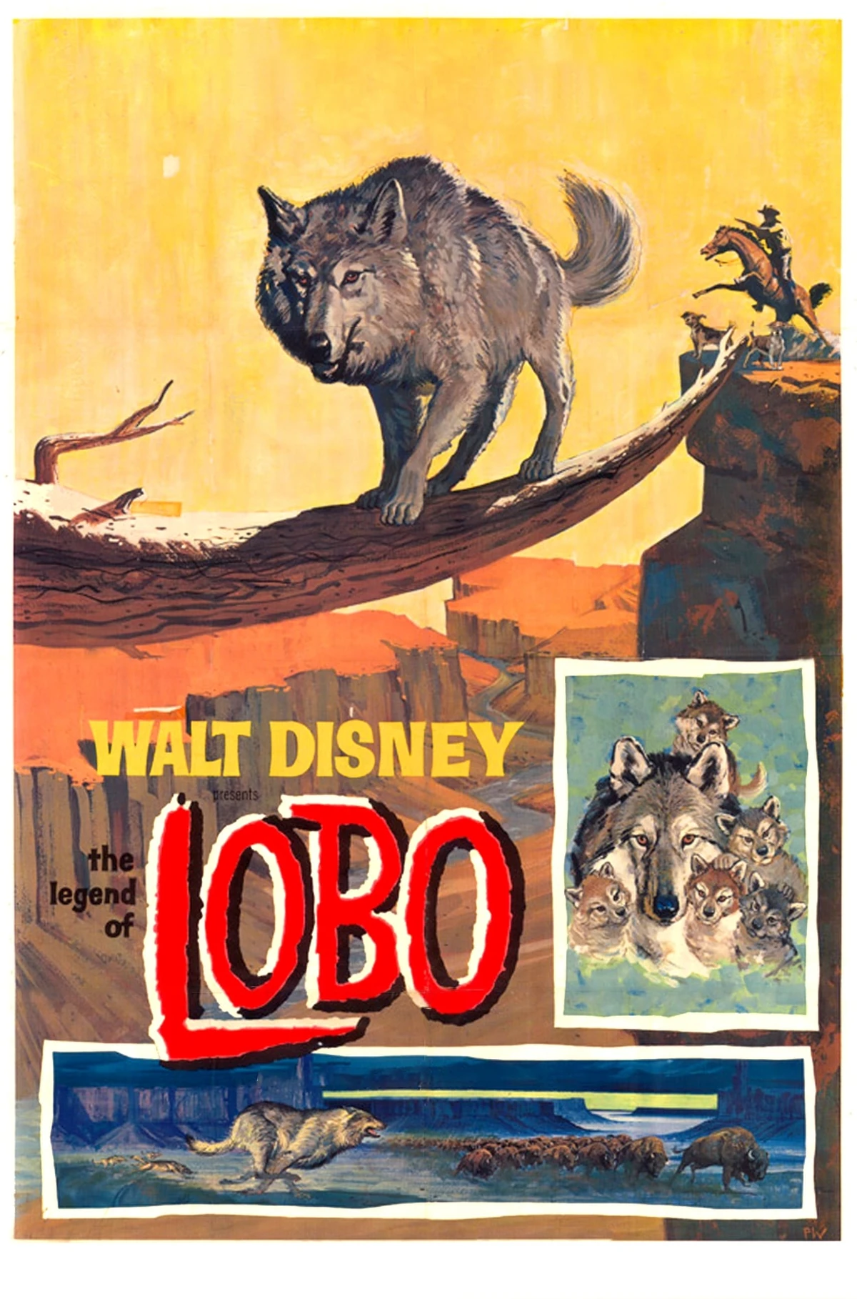 The Legend of Lobo (1962 film) | Troublemaker Wiki | Fandom