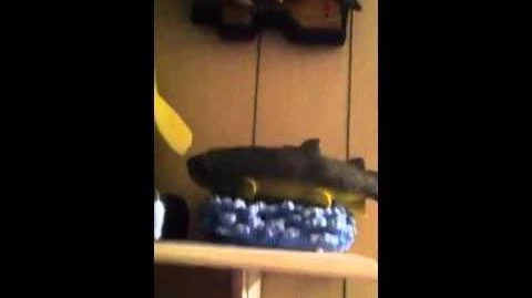 Singing fish collection update 2 | Troy's gemmys Wiki | Fandom