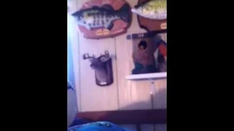 Update of a singing fish collection | Troy's gemmys Wiki | Fandom