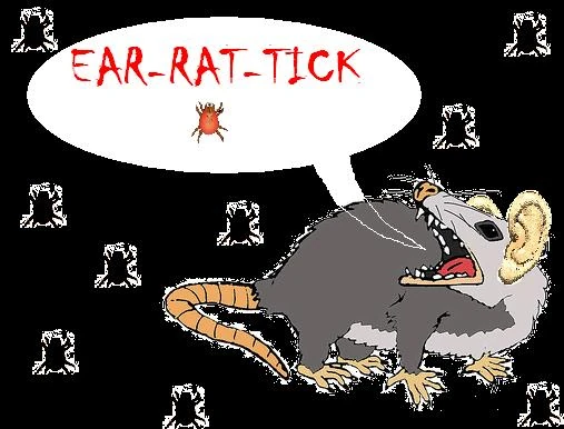 Ear-Rat-Tick | The Rock Star Game Wiki | Fandom