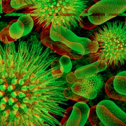 Virus | The Rock Star Game Wiki | Fandom