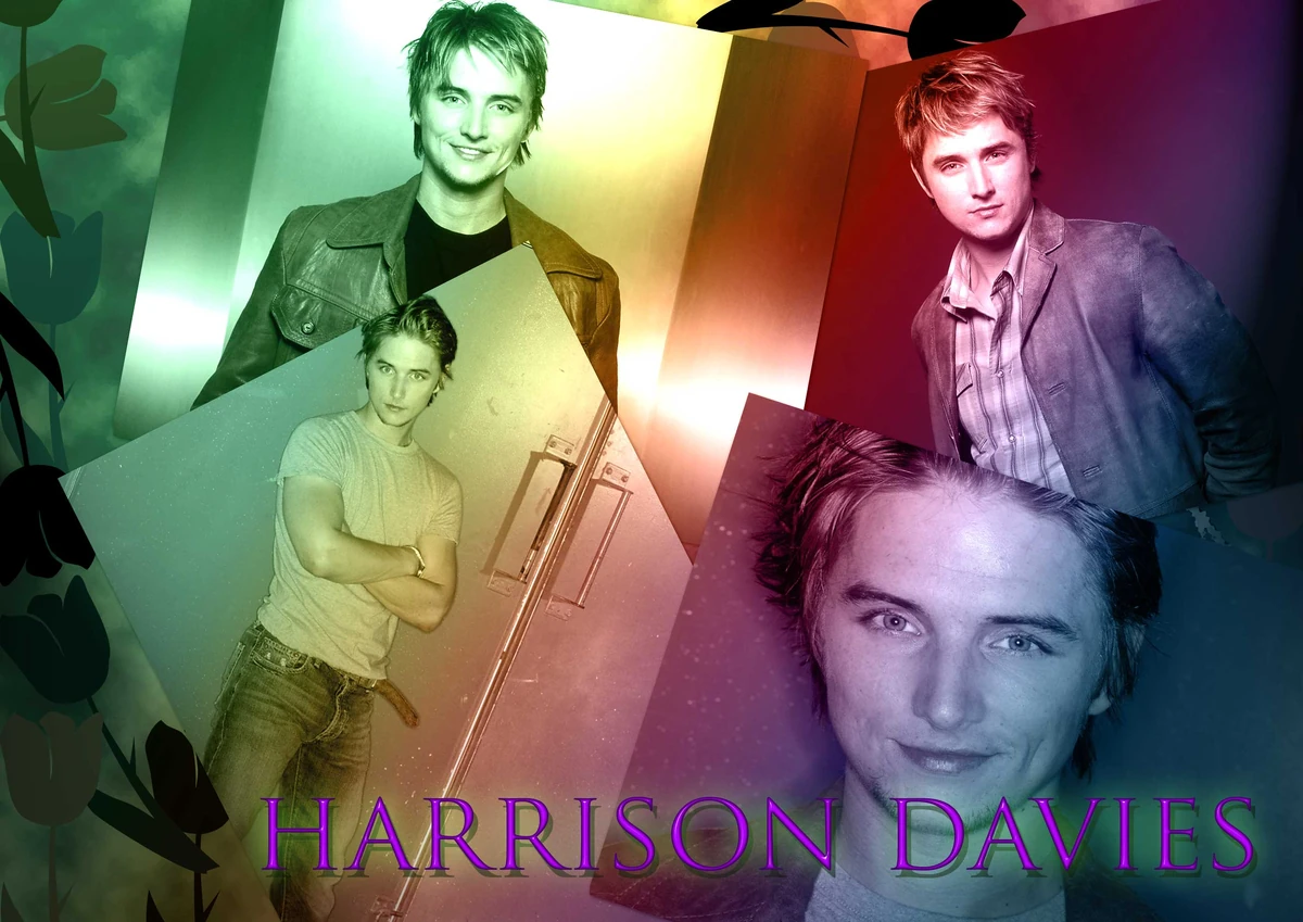 Harrison Davies | Tru Calling Wiki | Fandom