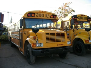 Blue Bird Conventional | Trucks Wiki | Fandom