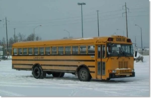 International 3900 | Trucks Wiki | Fandom