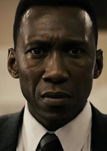 Wayne Hays | True Detective Wiki | Fandom