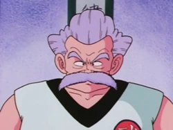 Master Mutaito Character Facts | True Dragonball z Wiki | Fandom