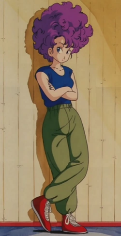 Ran Fan Character facts | True Dragonball z Wiki | Fandom