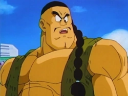 Wild Tiger Character Facts | True Dragonball z Wiki | Fandom