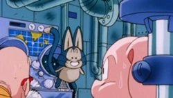 Future Puar Character Facts | True Dragonball z Wiki | Fandom