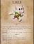 Caleb Lightpaw | True Tail Wiki | Fandom