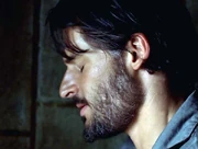 Gallery:Alcide Herveaux | True Blood Wiki | Fandom