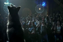 Packmaster | Southern Vampire Mysteries | Fandom