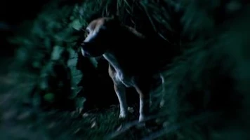Gallery:Shapeshifters | True Blood Wiki | Fandom
