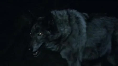 Gallery:Werewolf | True Blood Wiki | Fandom