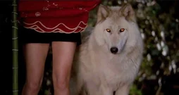 Gallery:Alcide Herveaux | True Blood Wiki | Fandom