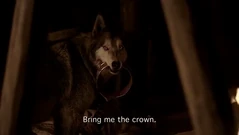 Gallery:Werewolf | True Blood Wiki | Fandom