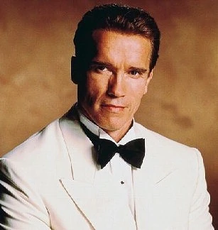 Harry Tasker/Gallery | True Lies Wiki | Fandom
