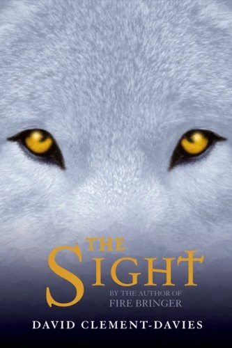 The Sight | Legend of the Sight novels Wiki | Fandom
