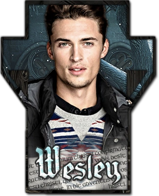 Wesley | Good & Evil Wiki | Fandom