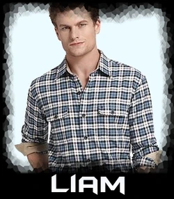 Liam | Good & Evil Wiki | Fandom