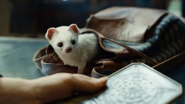 Pantalaimon | Truth, Secrets and Prophecies Wiki | Fandom