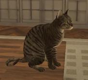 The Invisible Davis | TSBS Wiki | Fandom