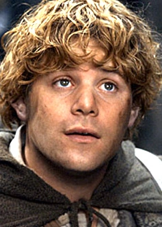 Samwise Gamgee | TSJPFEW Wikia | Fandom