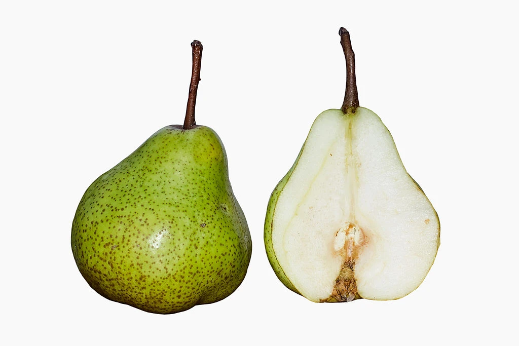 Pear | TSJPFEW Wikia | Fandom