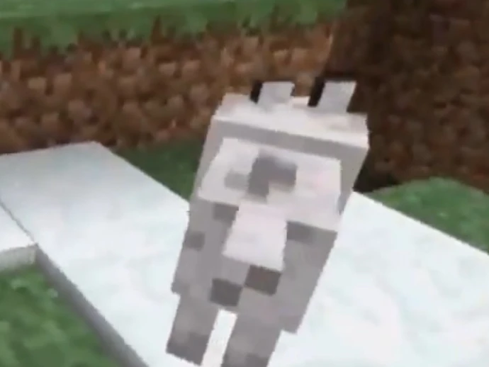 Dog - 2 | Tsmc-minecraft Wiki | Fandom