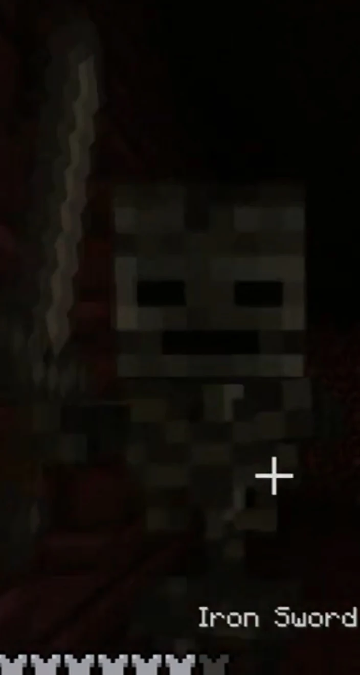Wither Skeleton - 33 | Tsmc-minecraft Wiki | Fandom