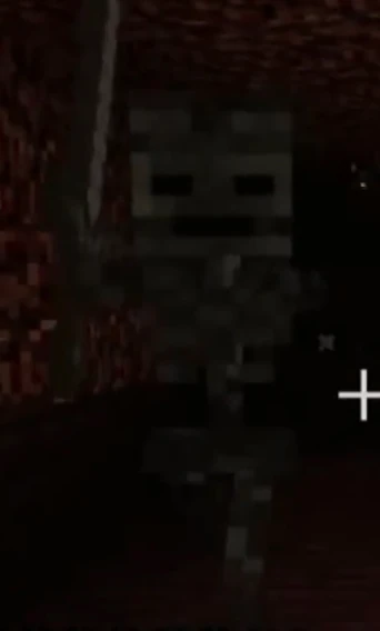 Wither Skeleton - 30 | Tsmc-minecraft Wiki | Fandom