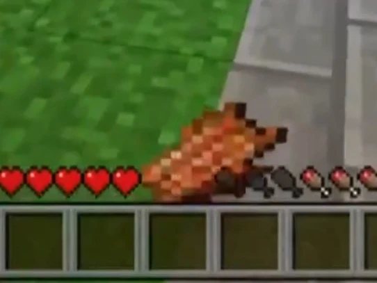 Dead Zombie - 1 | Tsmc-minecraft Wiki | Fandom