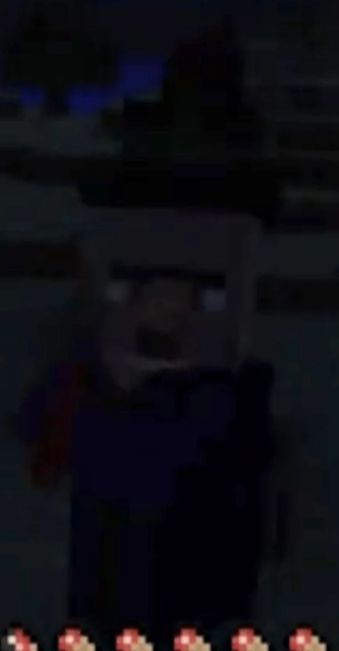 Witch - 1 | Tsmc-minecraft Wiki | Fandom