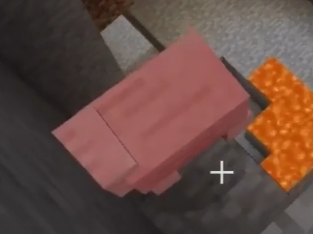 Pig - 10 | Tsmc-minecraft Wiki | Fandom