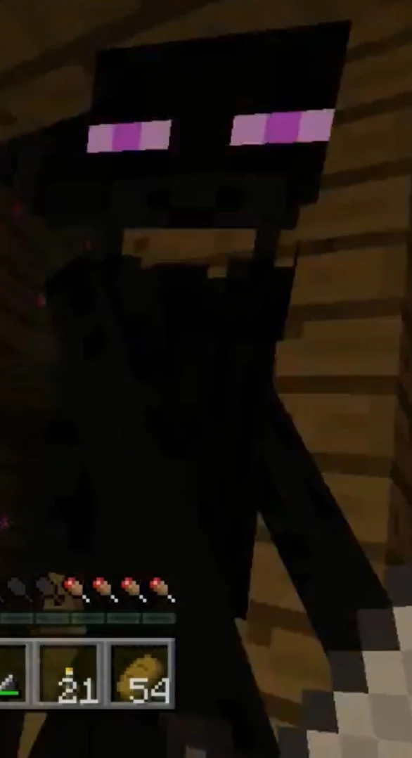Enderman - 8 | Tsmc-minecraft Wiki | Fandom