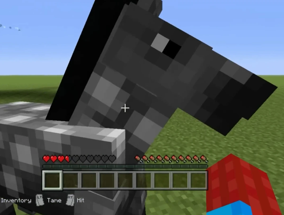 Donkey - 3 | Tsmc-minecraft Wiki | Fandom