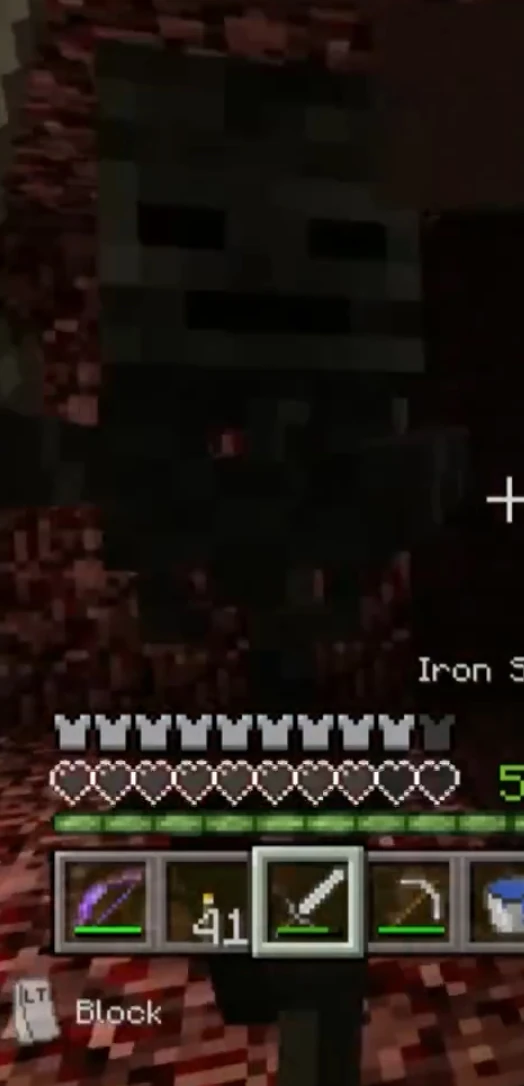 Wither Skeleton - 16 | Tsmc-minecraft Wiki | Fandom