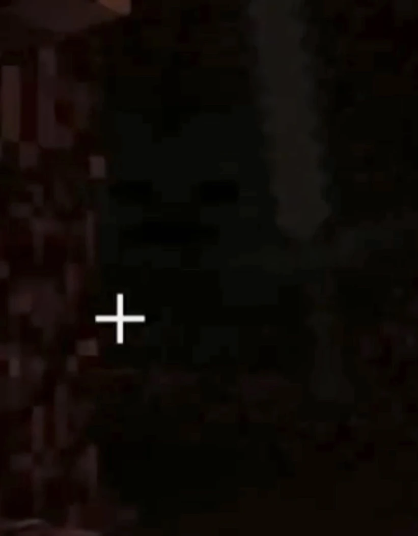 Wither Skeleton - 31 | Tsmc-minecraft Wiki | Fandom