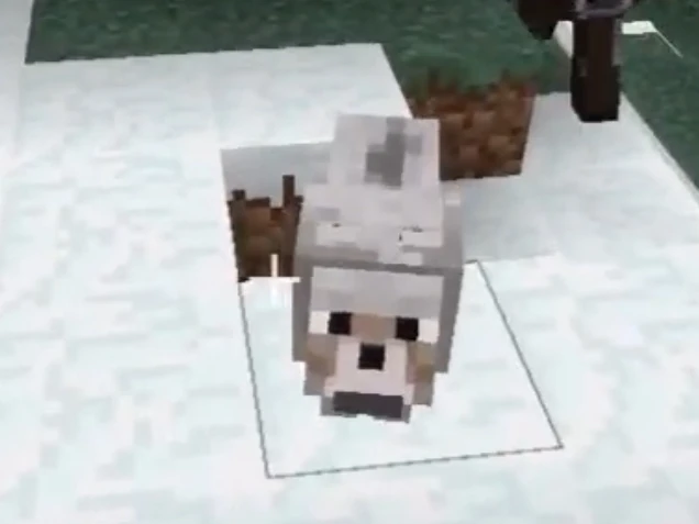 Wolf - 1 | Tsmc-minecraft Wiki | Fandom