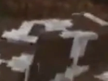 Cow - 6 | Tsmc-minecraft Wiki | Fandom