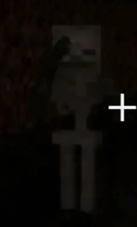 Skeleton - 32 | Tsmc-minecraft Wiki | Fandom